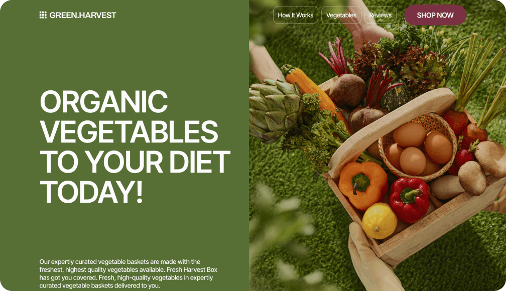 command-project-portfolio